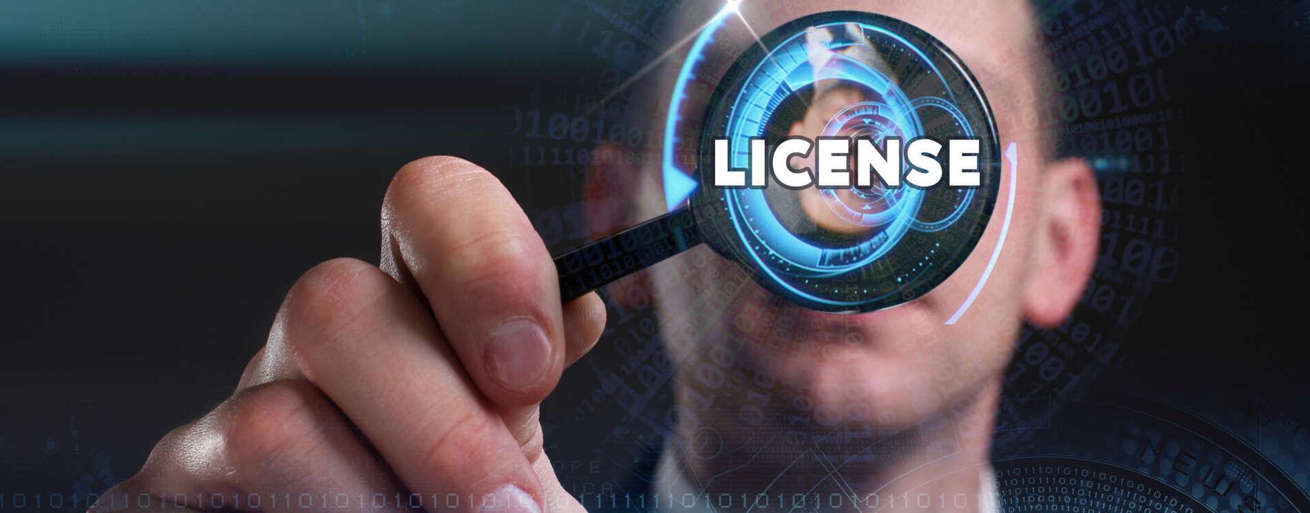 Software Asset Management: Are You Audit Ready? | ISG